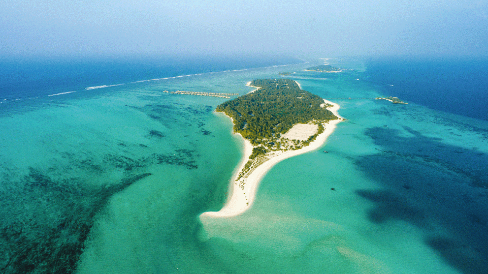 Smartgyro - SG20 Gyro Stabilizer for Boats 45-55'